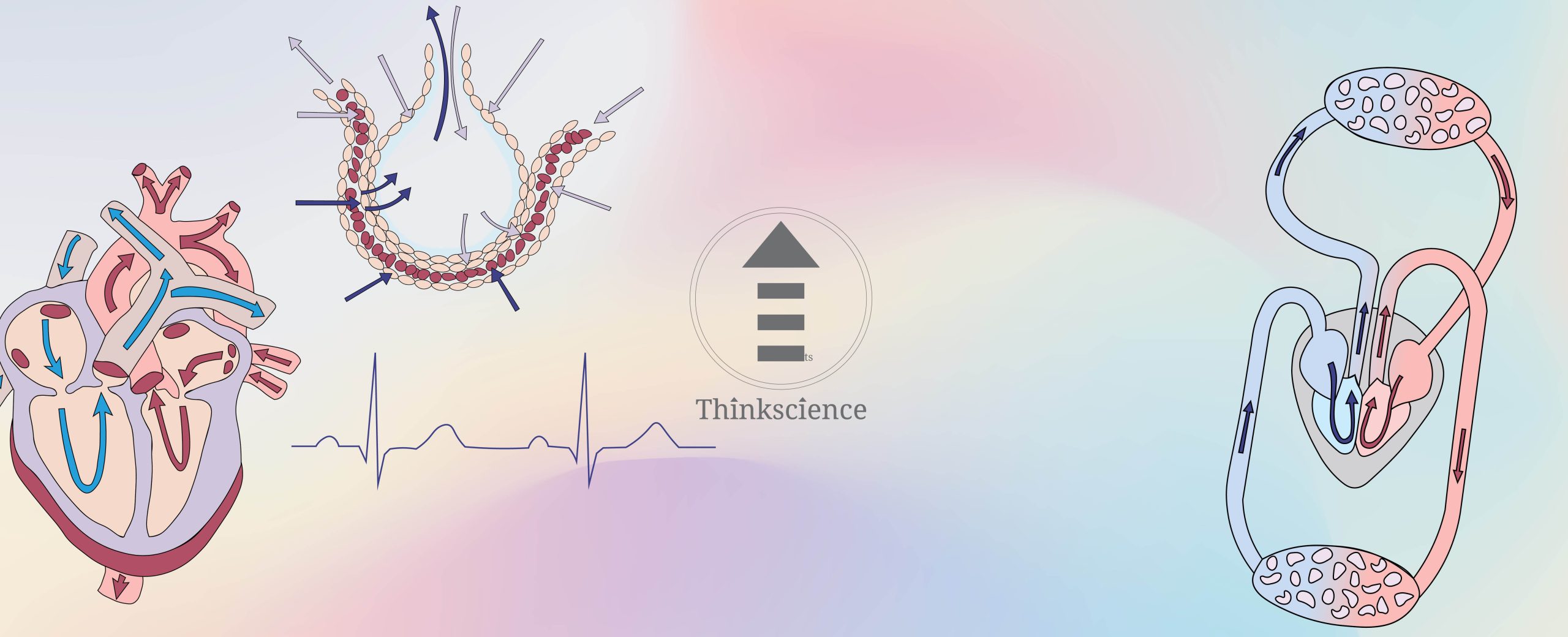 About Thinkscience | Science Tuition & Enrichment in Singapore